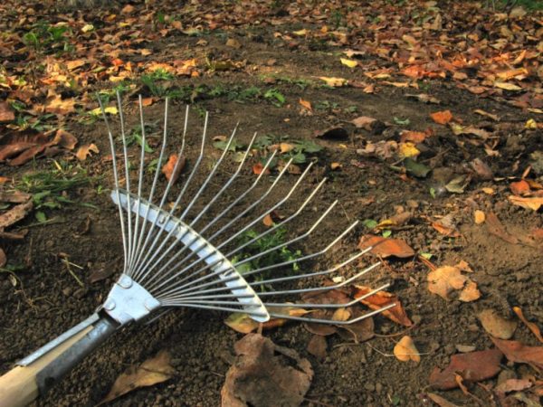 Metal or Plastic Rake? An Analysis - Organize With Sandy