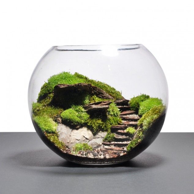 Best DIY Small Terrarium Ideas for You! - Organize With Sandy