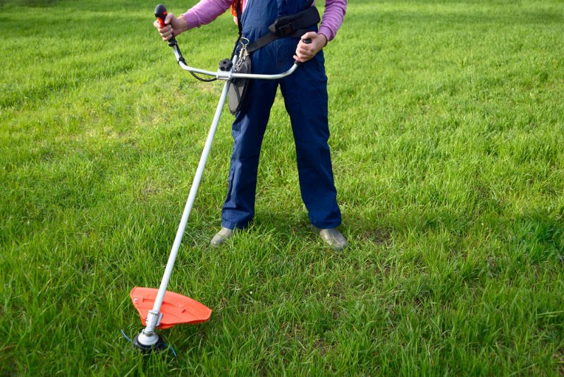 Brush Cutter Vs String Trimmer - Which One Should You Buy? - Organize ...