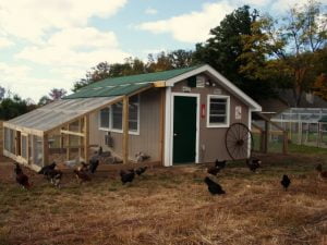 15 Large Chicken Coop Plans: Ideas to Build Your Own! - Organize With Sandy