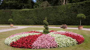 24 Best Flower Hedge Ideas: #17 is Our Favorite! - Organize With Sandy