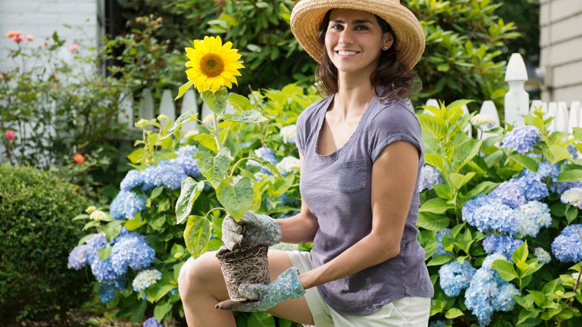 How You Can Rejuvenate Your Garden for Summer - Organize With Sandy