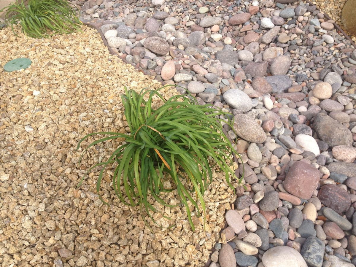 5 Kinds of Rocks Used for Desert Landscaping - Organize With Sandy