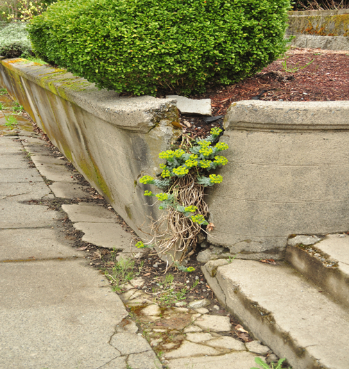 How to Repair a Retaining Wall [Common Reasons and Solutions ...