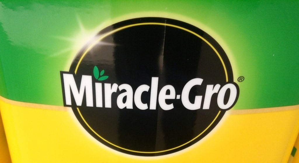 Miracle-Gro - Can You Use It on Vegetables? - Organize With Sandy