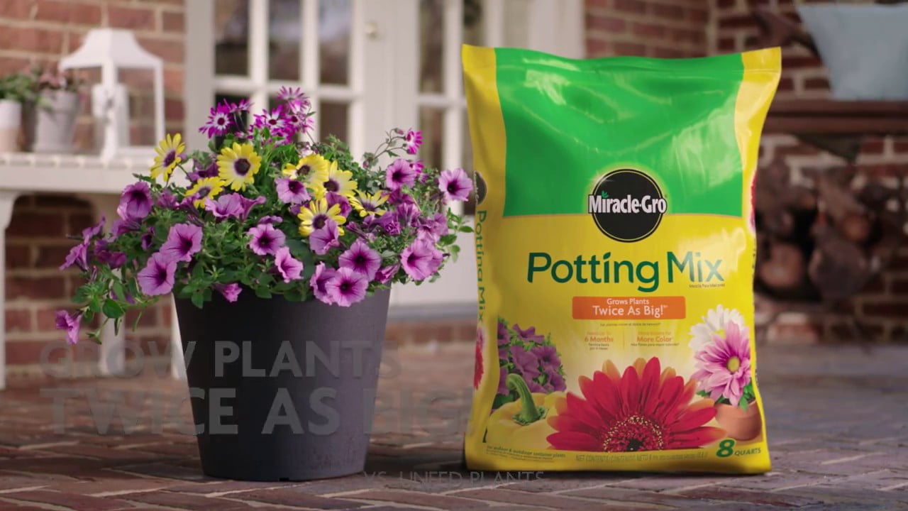 Miracle Grow Potting Soil: What Are the Ingredients? - Organize With Sandy