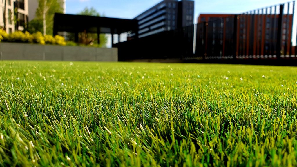How to Keep Your Lawn Looking Perfect - Organize With Sandy