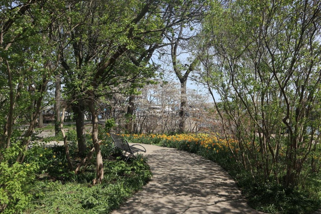 8 Tips To Design A Bike Lane Inside Your Garden