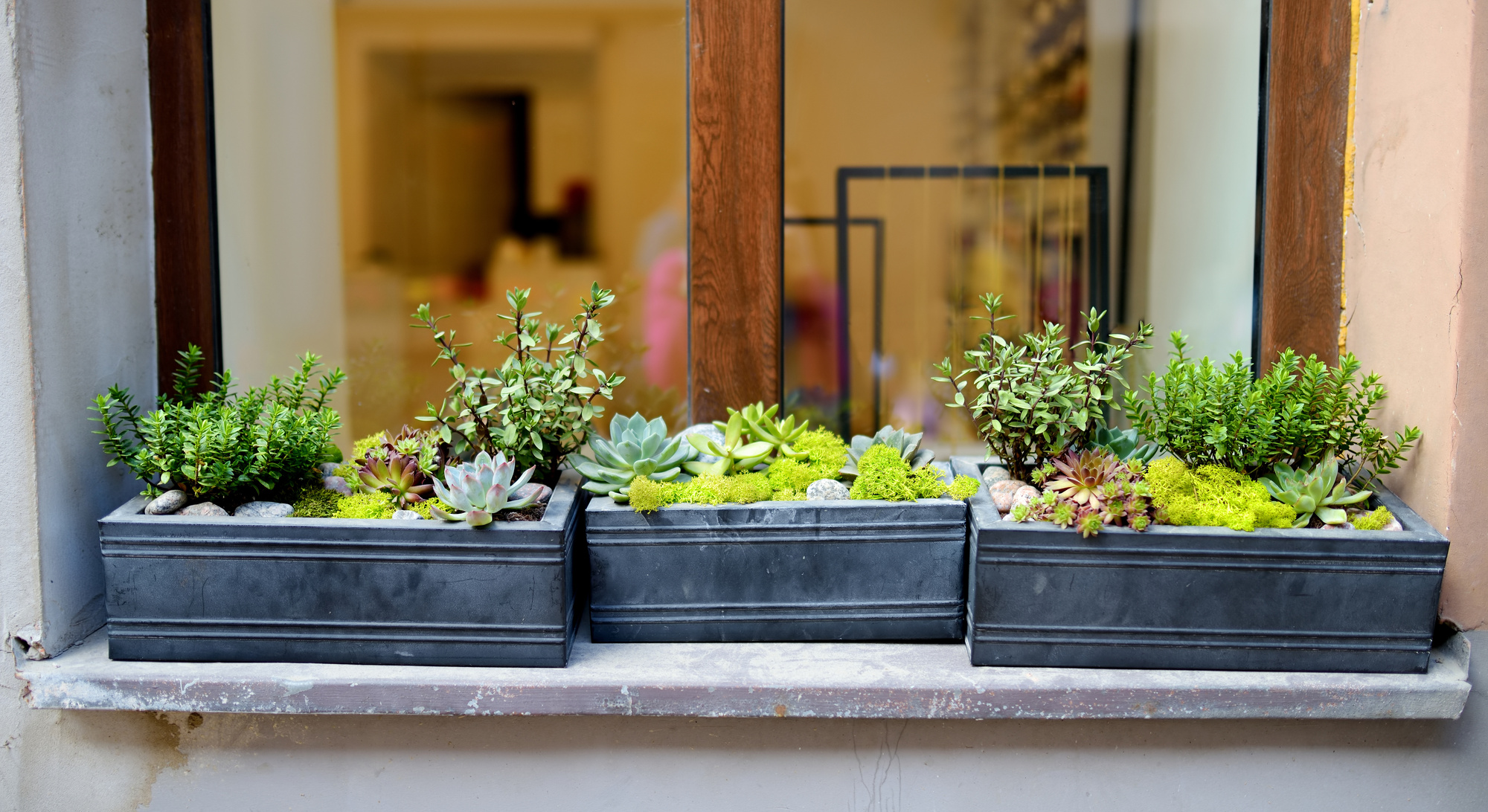 A 7-Step Guide For Building A Window Box Garden - Organize With Sandy