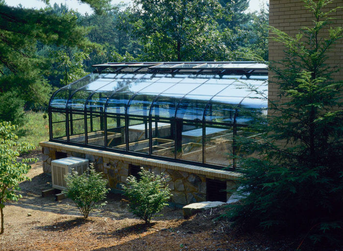 The Foundation: Building a Solid Base for Your Greenhouse - Organize ...