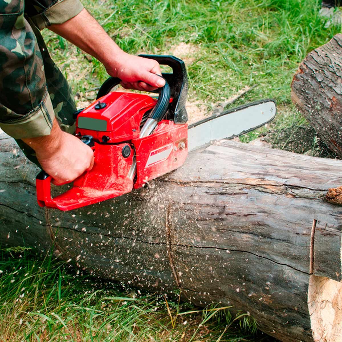 How To Know if Your Chainsaw Chain is Stretched? - Organize With Sandy