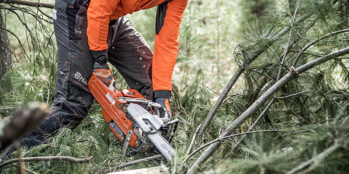 Can a Chainsaw Rust if Wet? - Organize With Sandy