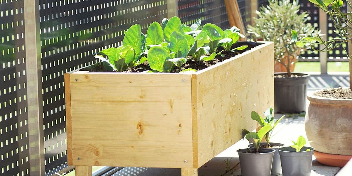 How Wide Should a Planter Box Be - Organize With Sandy