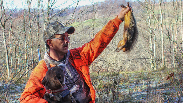 Do You Need a License to Hunt Squirrel - Organize With Sandy