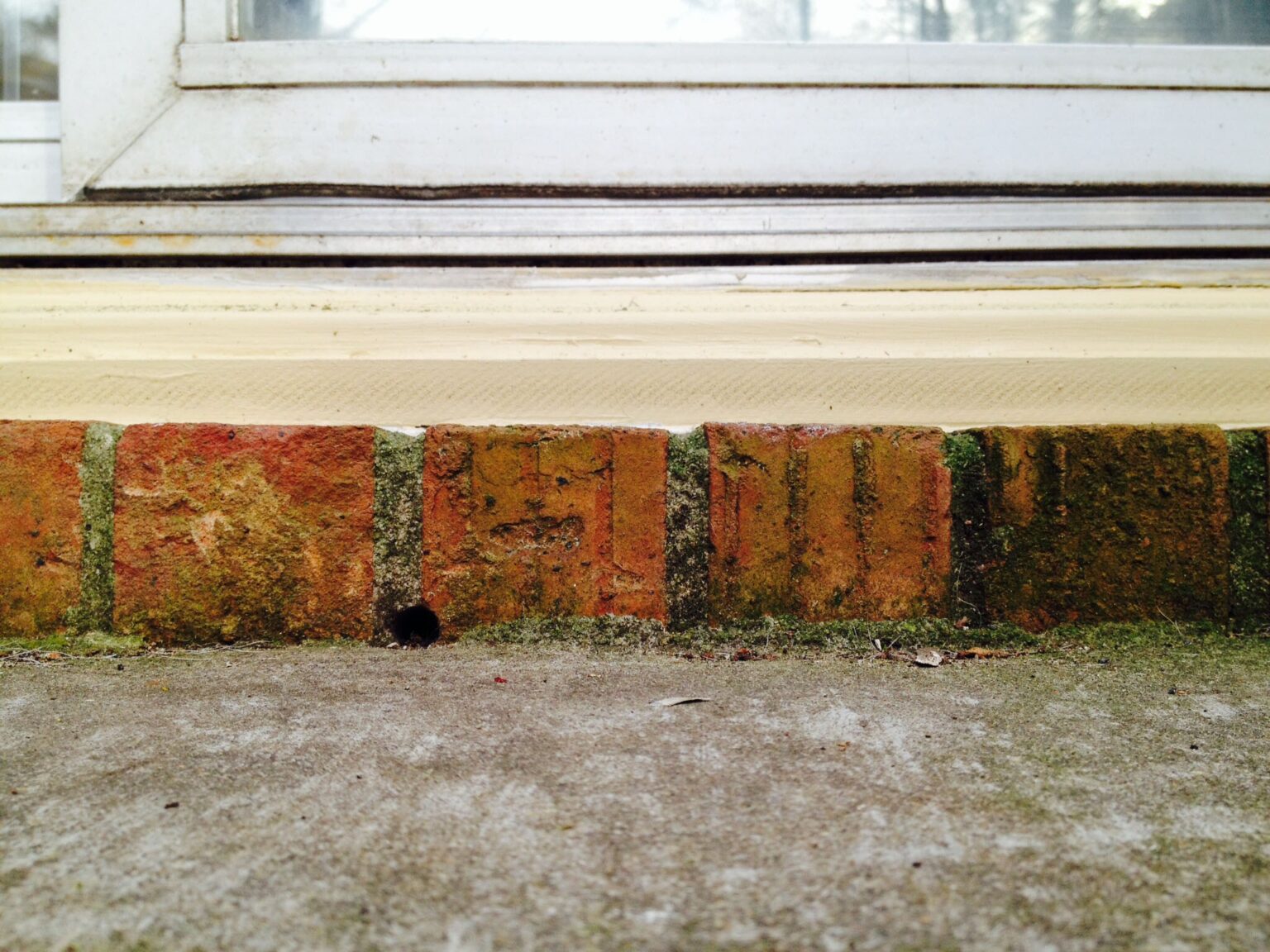 What Can I Use to Fill Weep Holes? - Organize With Sandy