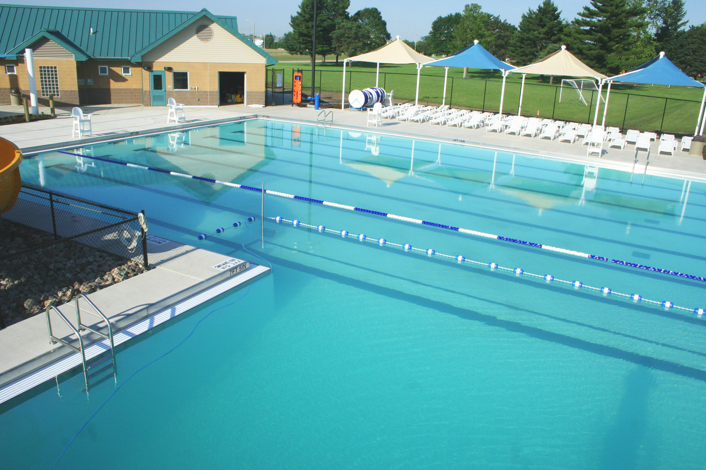 What Happens if You Jump Into a Shallow Pool? - Organize With Sandy