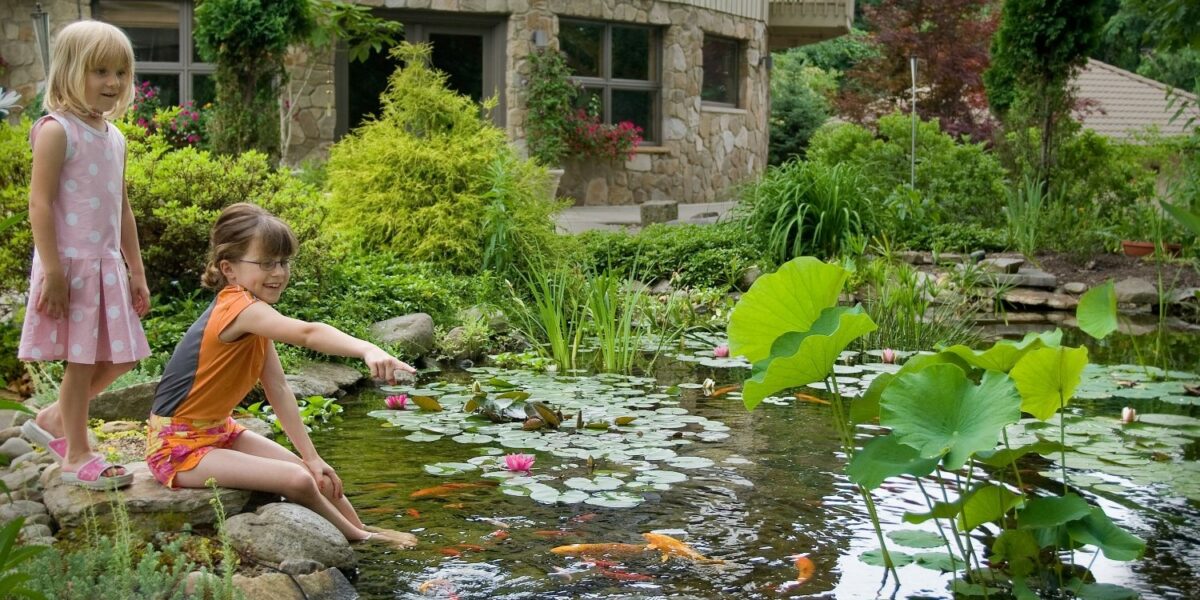 Why Is My Waterfall Turning Green? - Organize With Sandy